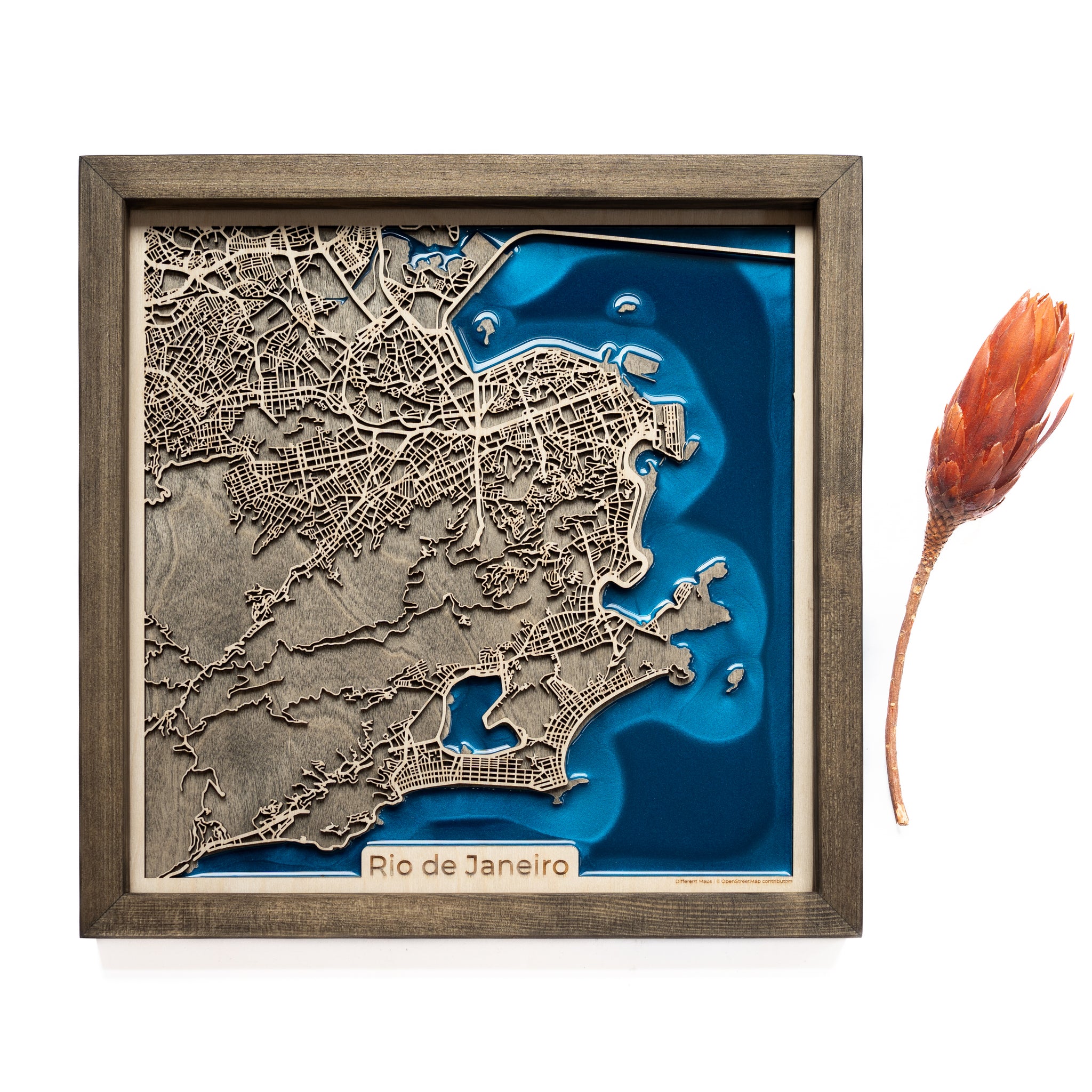 Brazil Wood Map - Elevate Decor | Vibrant Cities Art